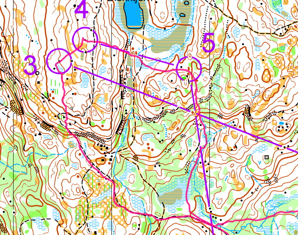 Neuigkeiten - Sofie Bachmann