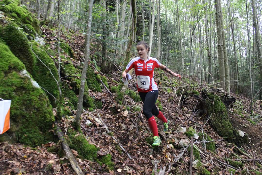 Neuigkeiten - Sofie Bachmann