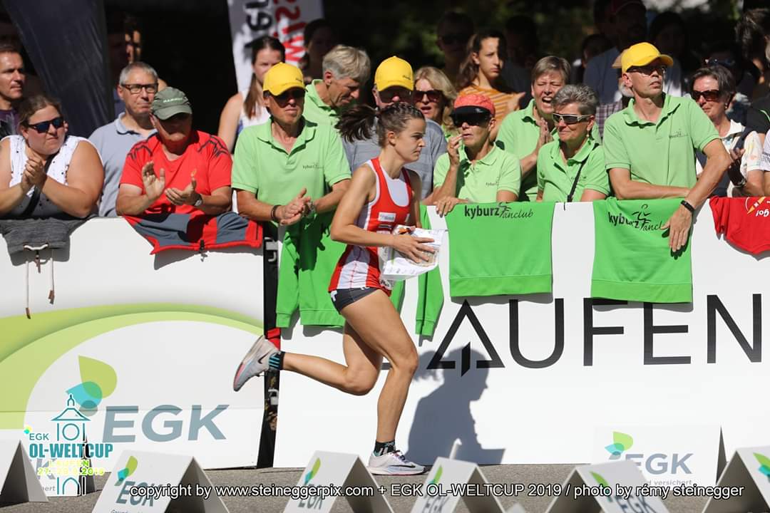 Neuigkeiten - Sofie Bachmann